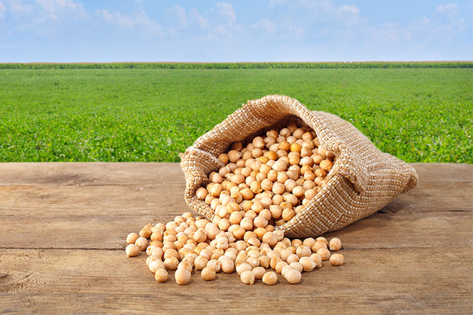 中美贸易协议达成后，中国又购买四批25万吨美国大豆提供者FX168