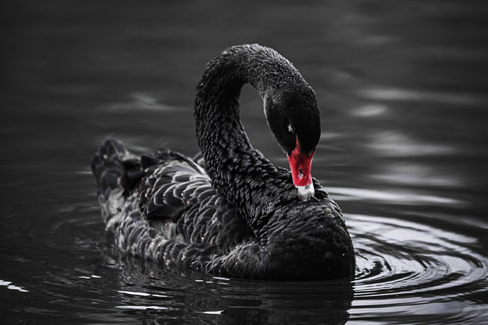 警惕日本“黑天鹅”突然飞出！日元触及8个月低点后 日财务大臣发口头警告提供者FX168